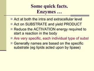 06 Enzymes | PPT