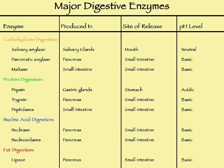 Enzymes