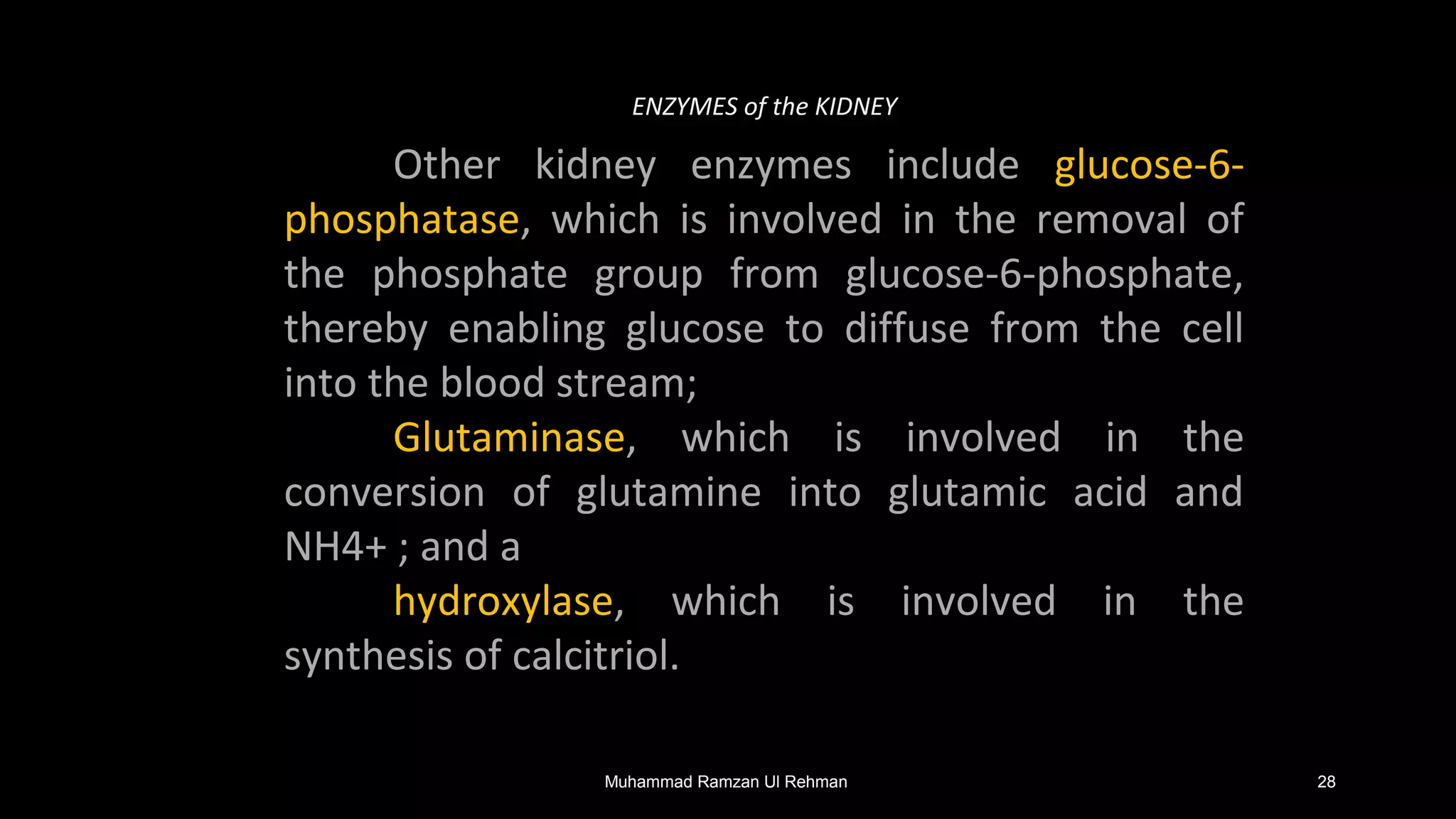 Enzymes Biochemistry | PPT