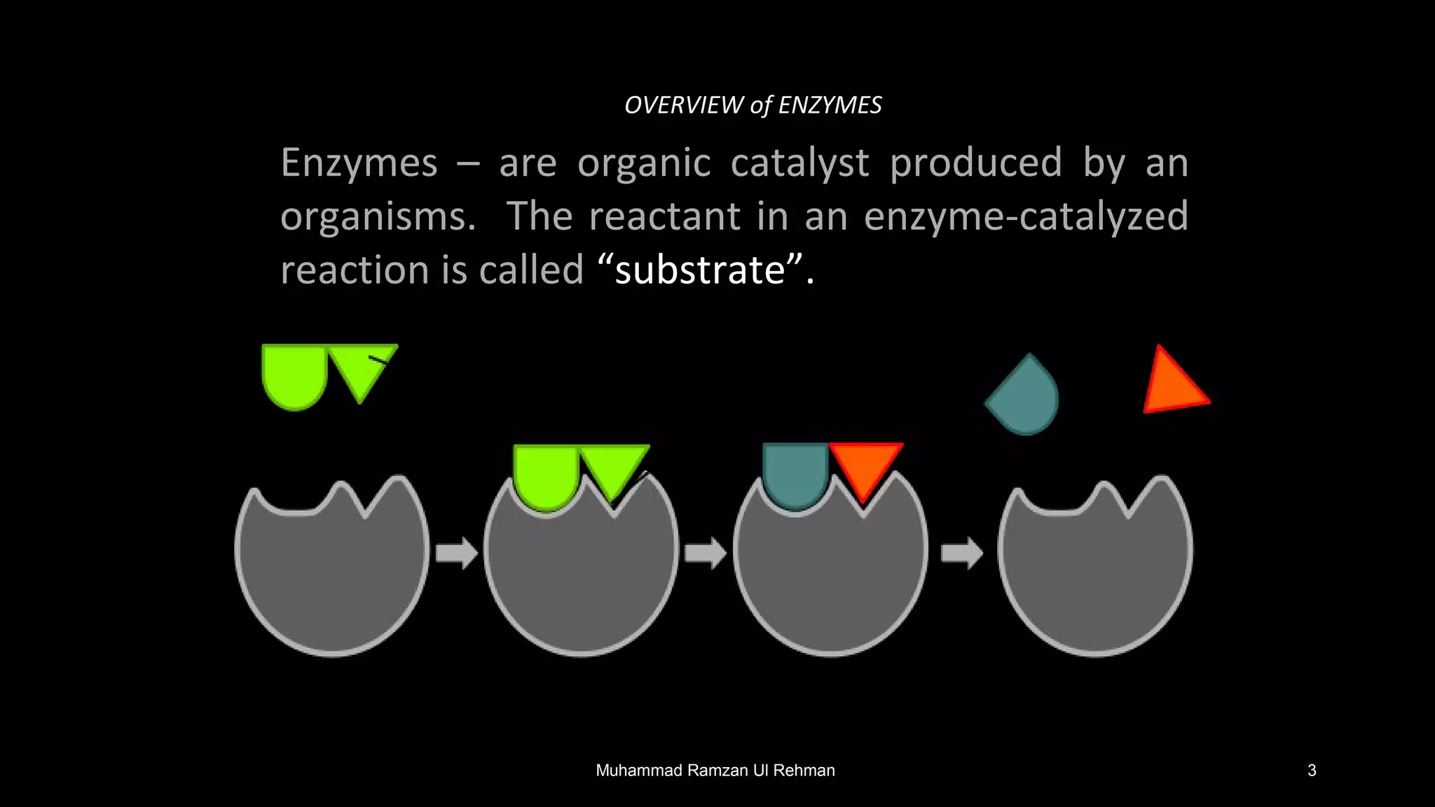 Enzymes Biochemistry | PPT