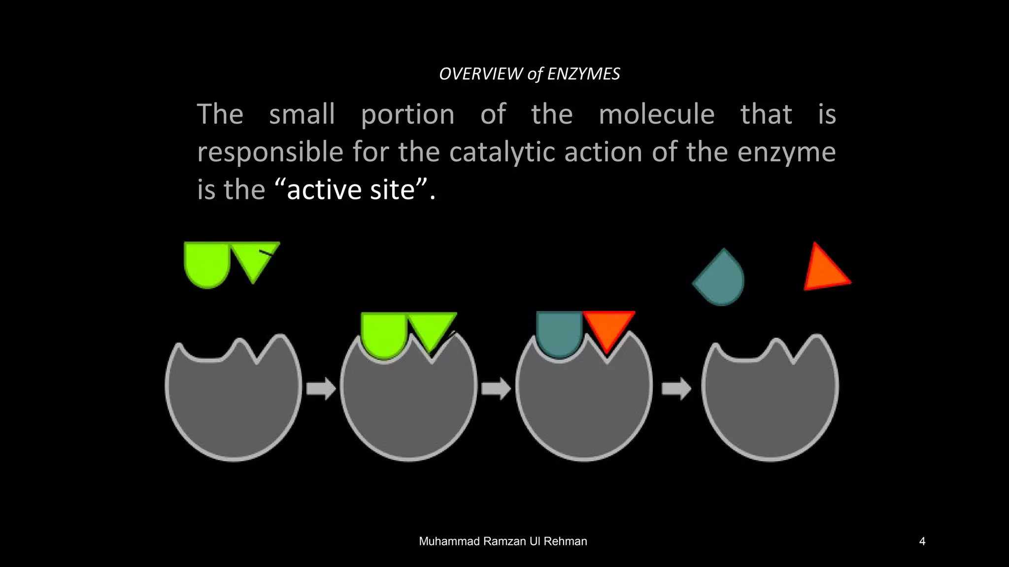 Enzymes Biochemistry | PPT