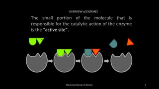 Enzymes Biochemistry | PPT
