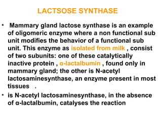 Enzymes | PPT
