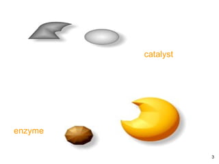 Enzymes | PPT