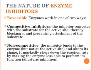 Enzymes | PPT