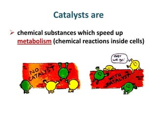 Enzymes | PPT