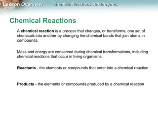 Enzymes | PPT