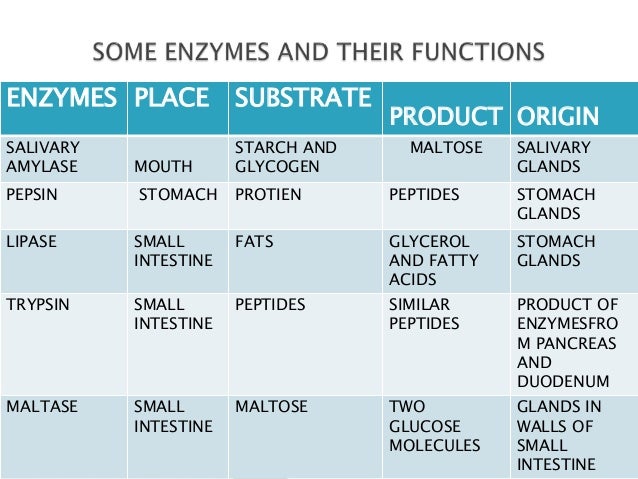 Enzymes