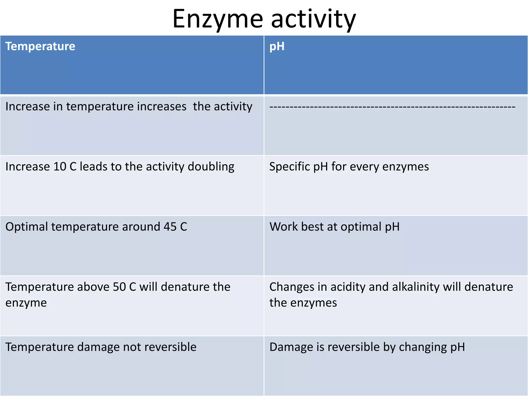 Enzymes | PPTX