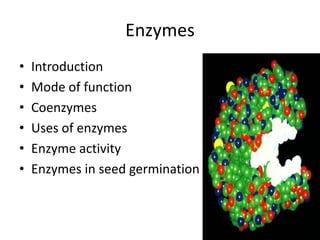 Enzymes | PPTX