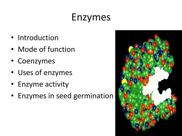 Enzymes | PPT