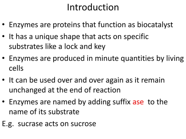 Enzymes | PPT