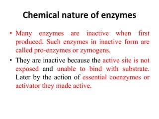 Enzymes 140224071459-phpapp02 | PPT
