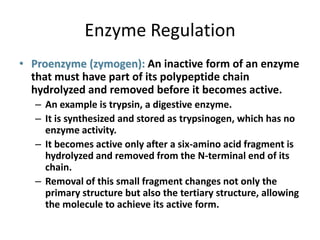 Enzymes | PPTX