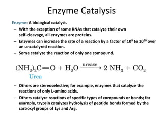 Enzymes | PPTX