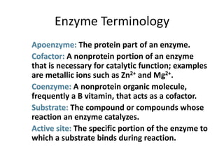 Enzymes | PPTX