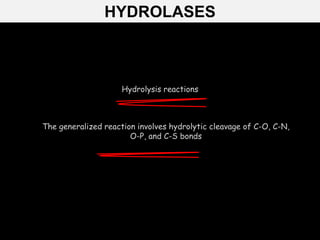 Enzymes | PPTX