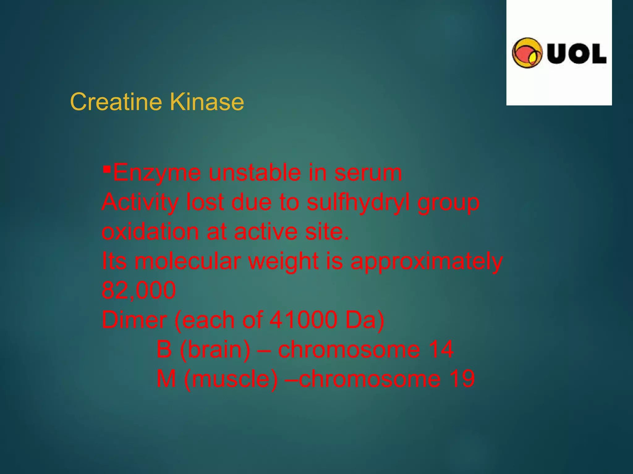important of creatine kinase enzyme | PPT
