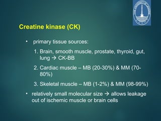 important of creatine kinase enzyme | PPT