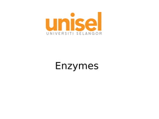 Enzymes | PPT