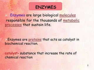 Enzymes | PPTX