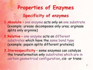 Enzymes | PPTX | Chemistry | Science