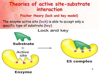Enzymes | PPTX