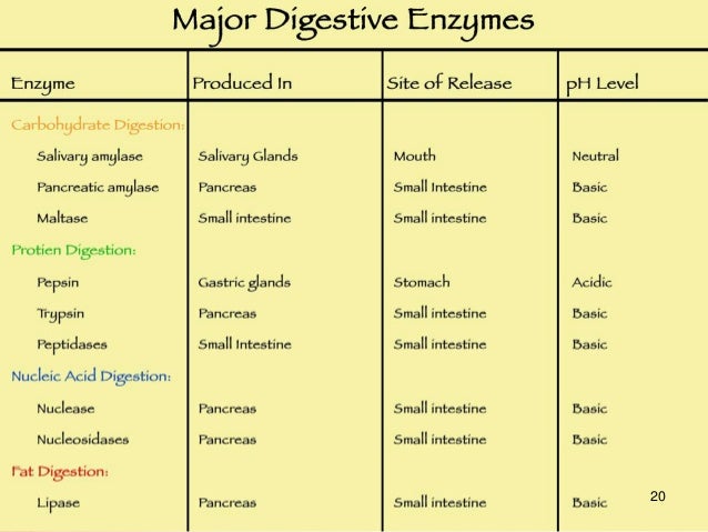 Enzymes