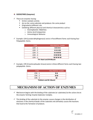 Enzymes | DOCX | Digestive Disorders | Diseases and Conditions