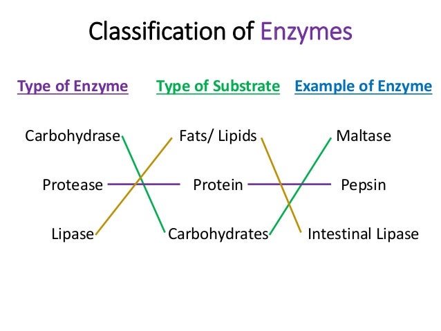 Enzymes