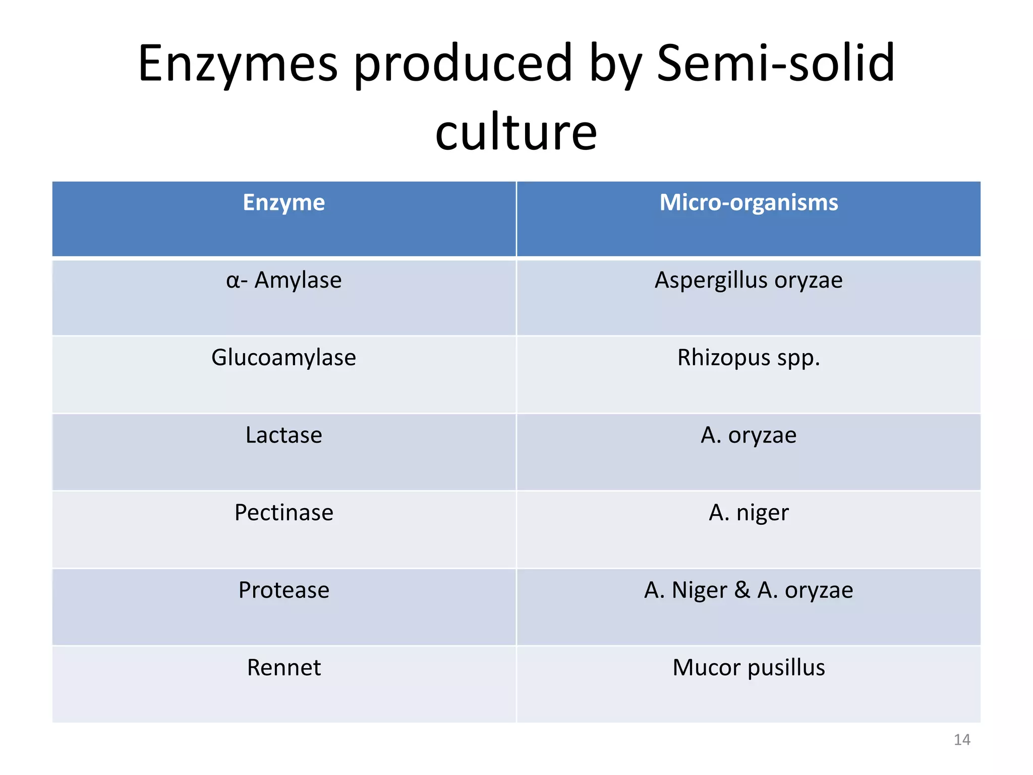 Enzymes & their Production | PPTX