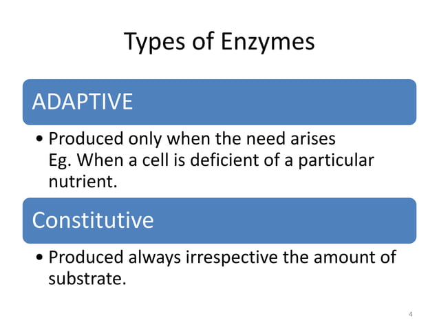 Enzymes & their Production | PPTX