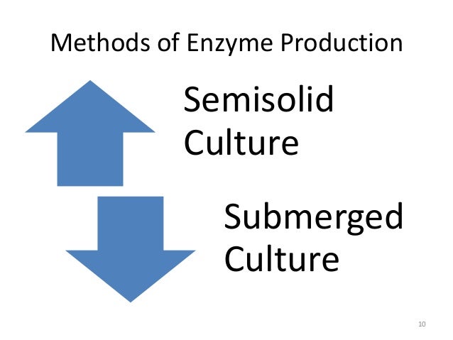 Enzymes & their Production