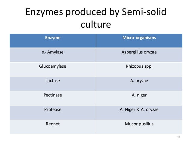 Enzymes & their Production