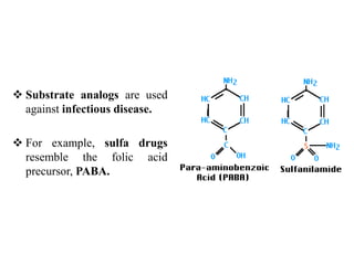Enzymes | PPTX