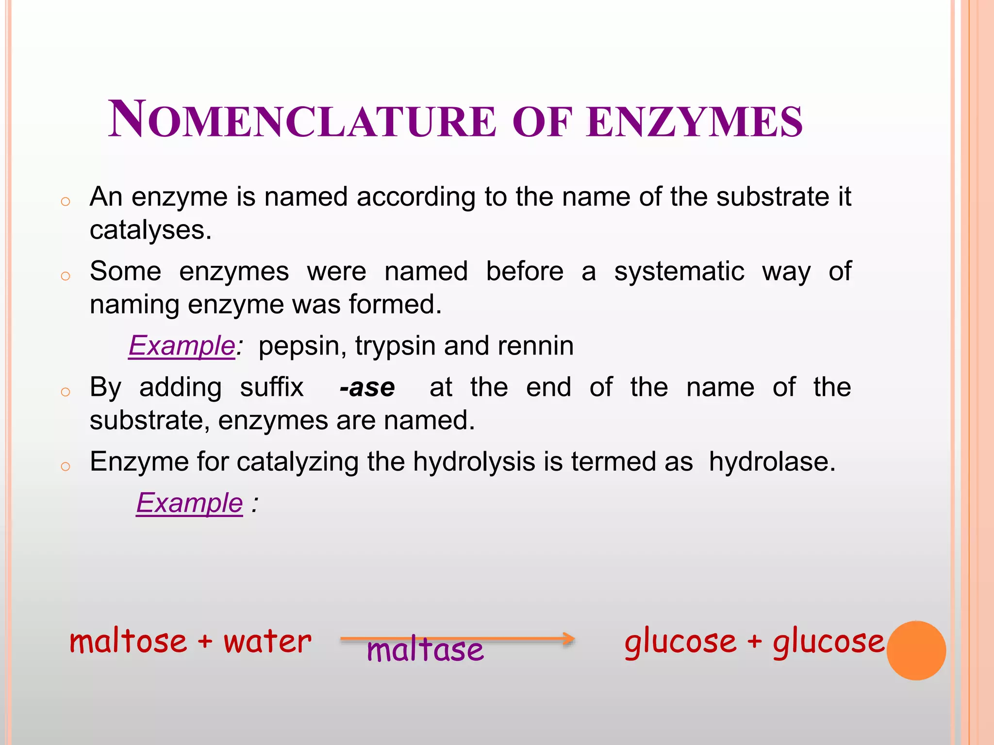 Enzymes | PPTX