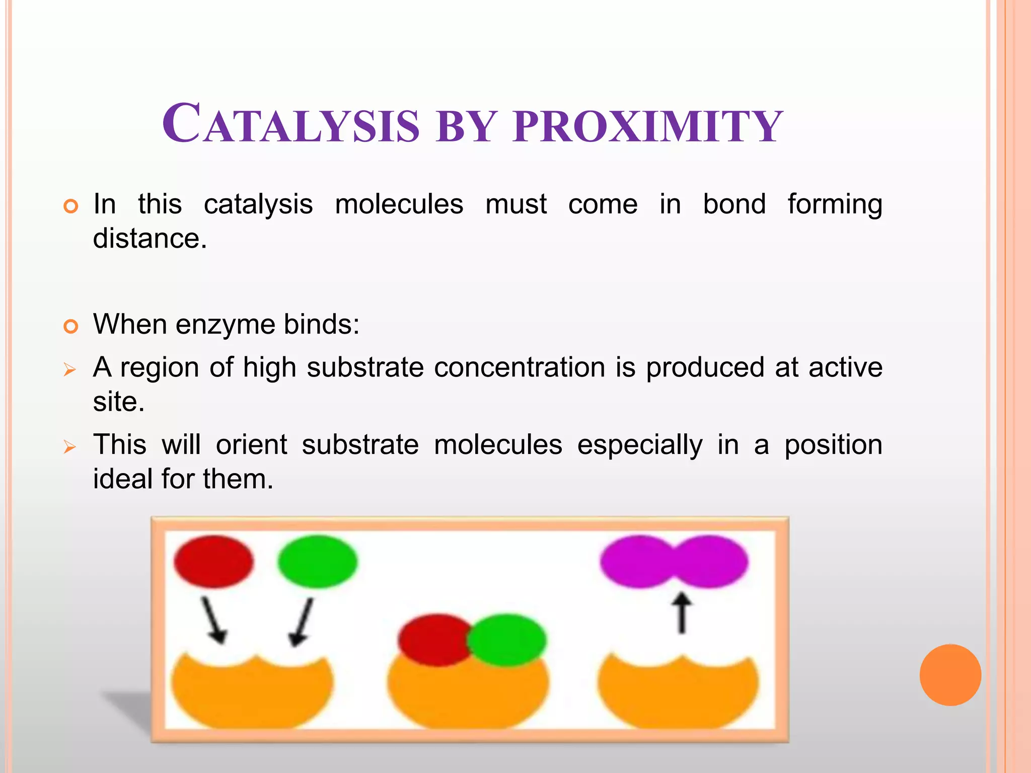 Enzymes | PPTX