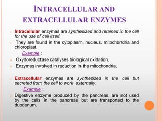 Enzymes | PPTX