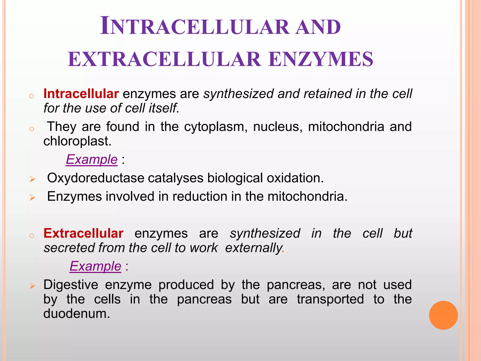 Enzymes Biochemistry | PPTX | Chemistry | Science