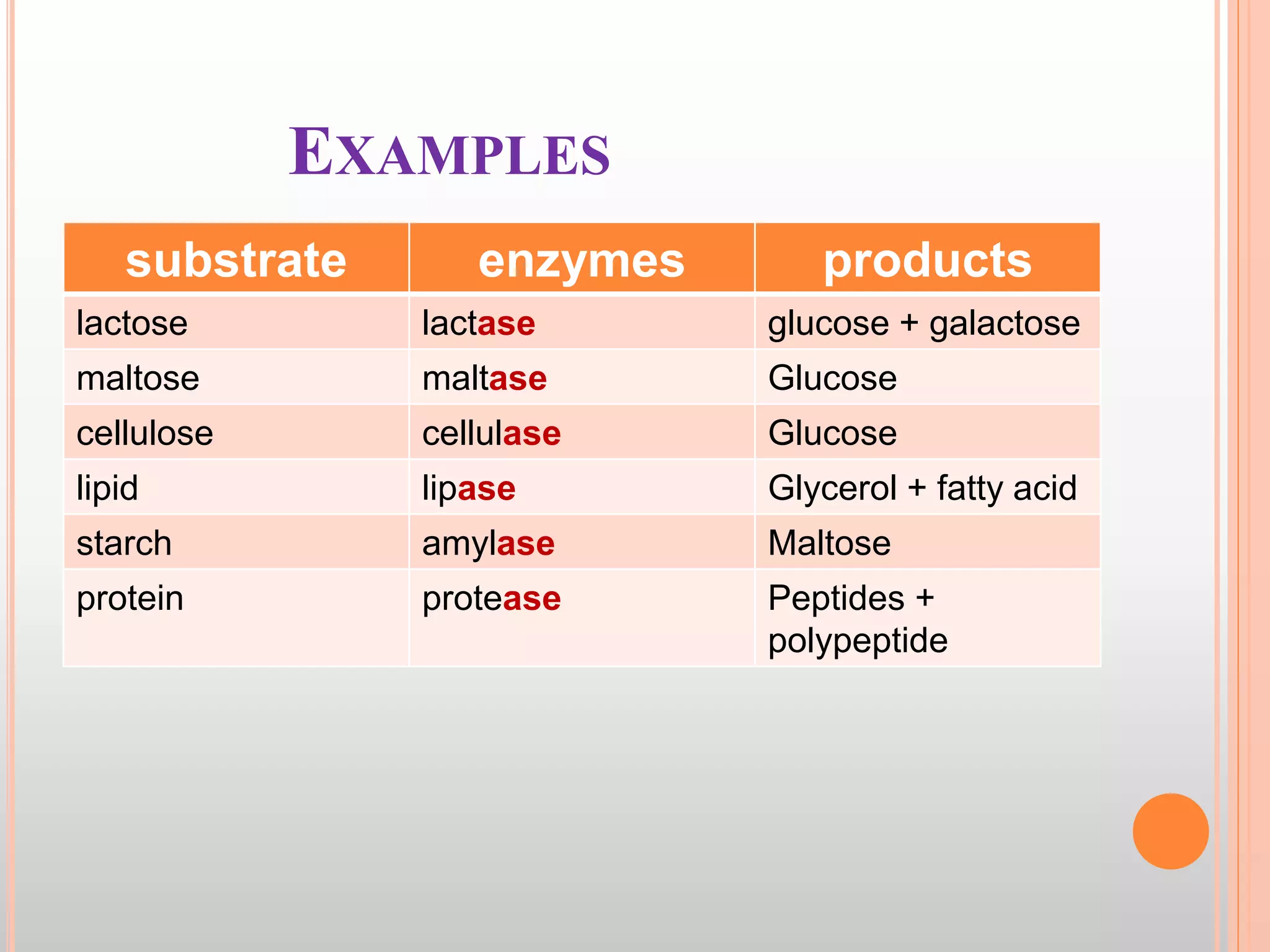 Enzymes Biochemistry | PPTX