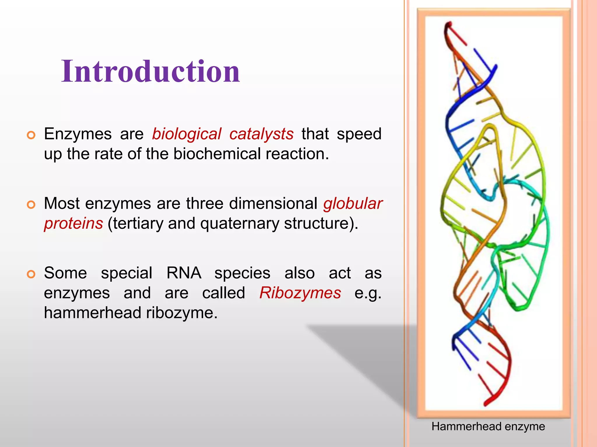 Enzymes Biochemistry | PPTX
