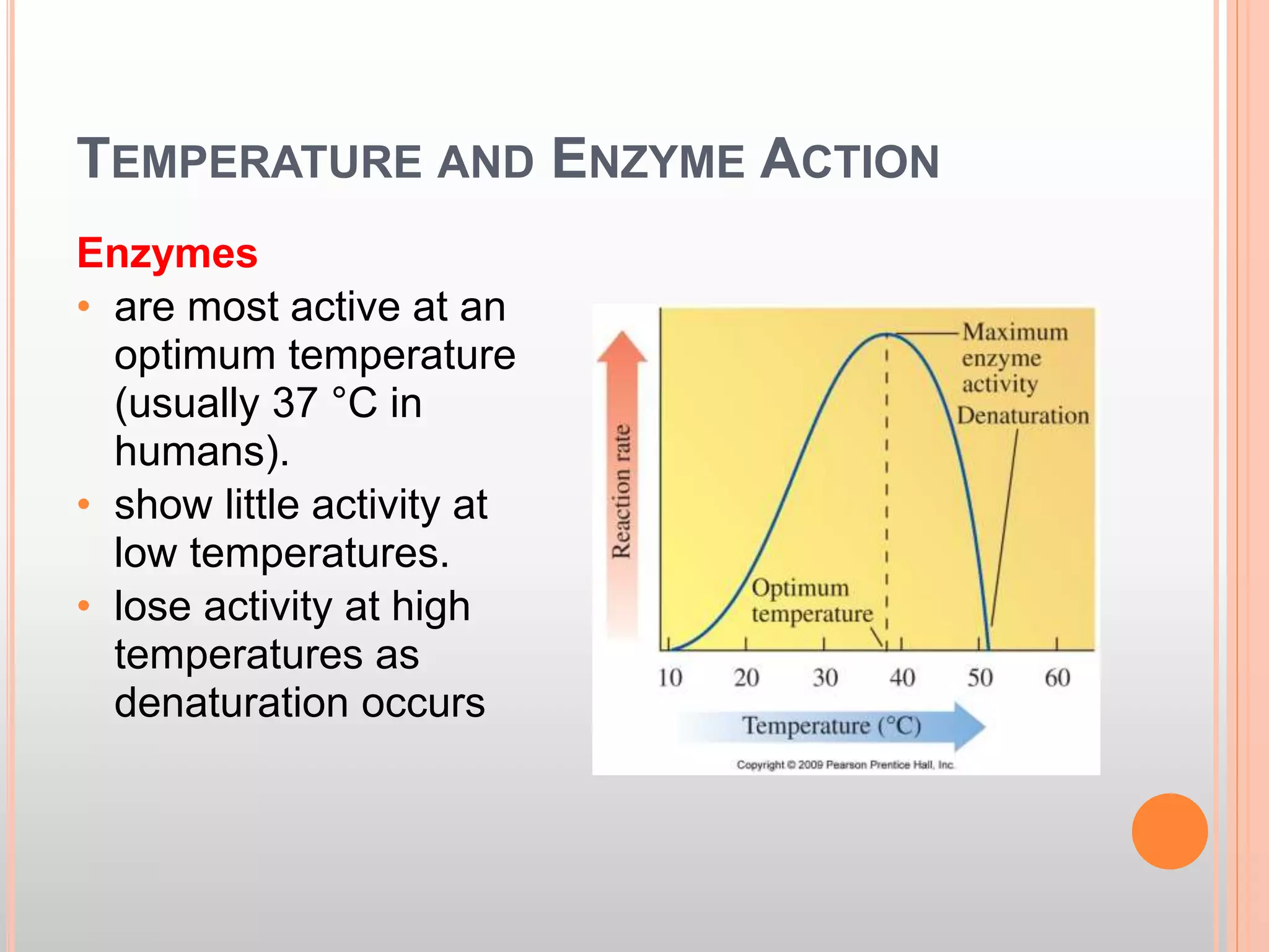 Enzymes Biochemistry | PPTX