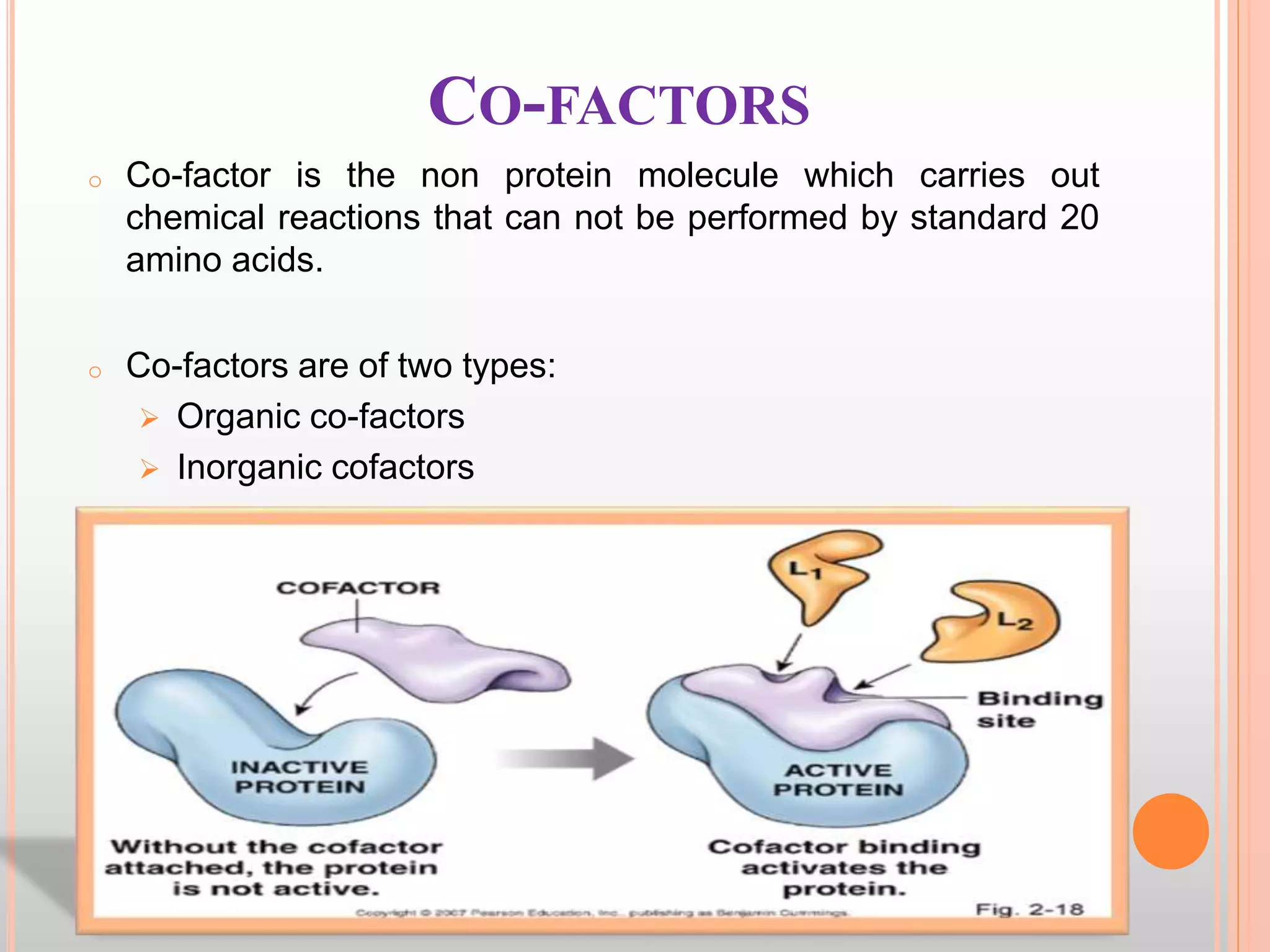 Enzymes Biochemistry | PPTX
