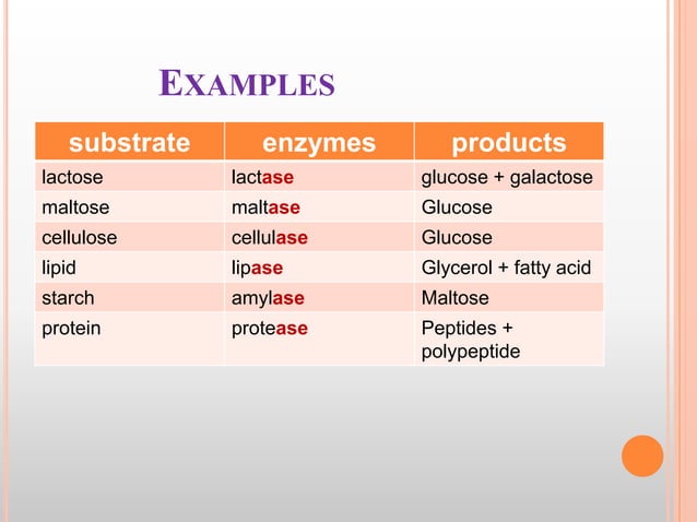 Enzymes Biochemistry | PPTX | Chemistry | Science