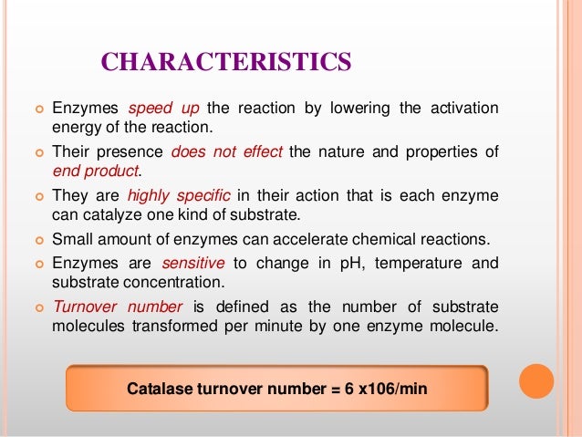 Enzymes Biochemistry
