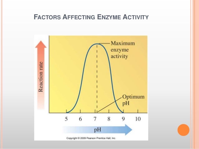 Enzymes Biochemistry