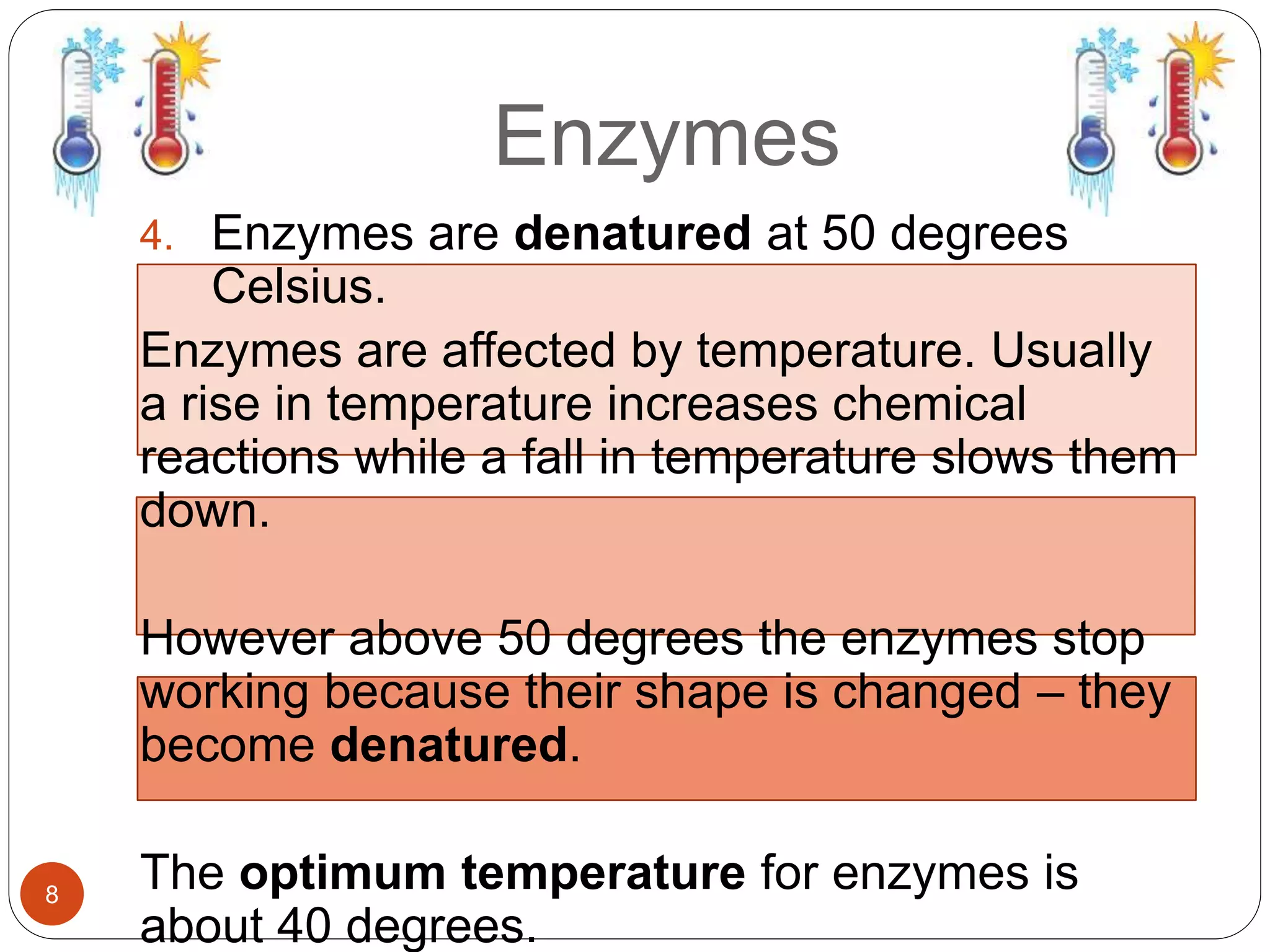 Enzymes | PPTX