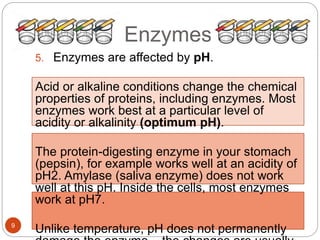 Enzymes | PPTX