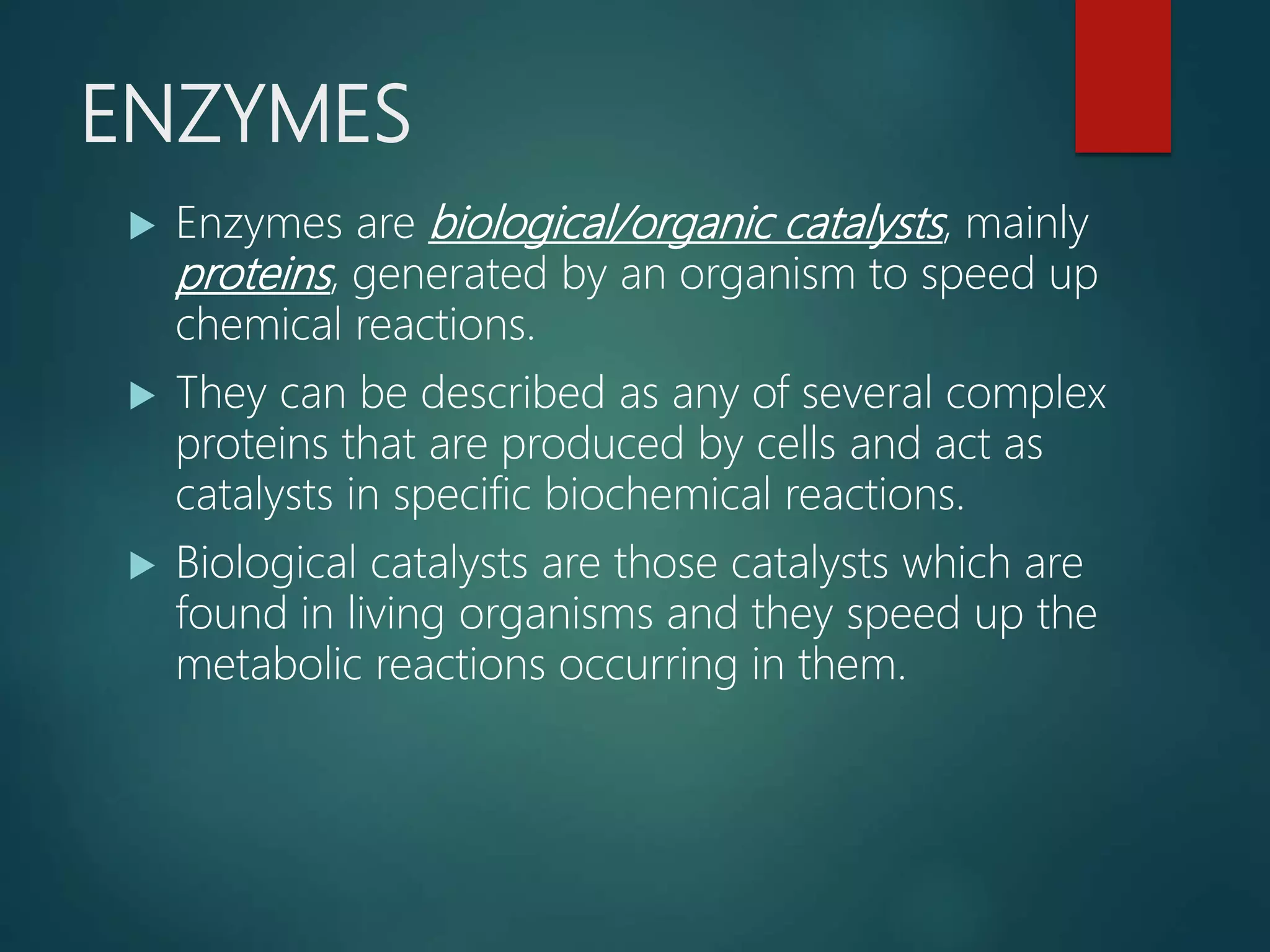 Enzymes | PPTX