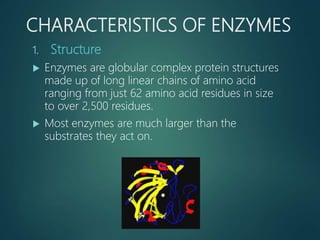 Enzymes | PPTX